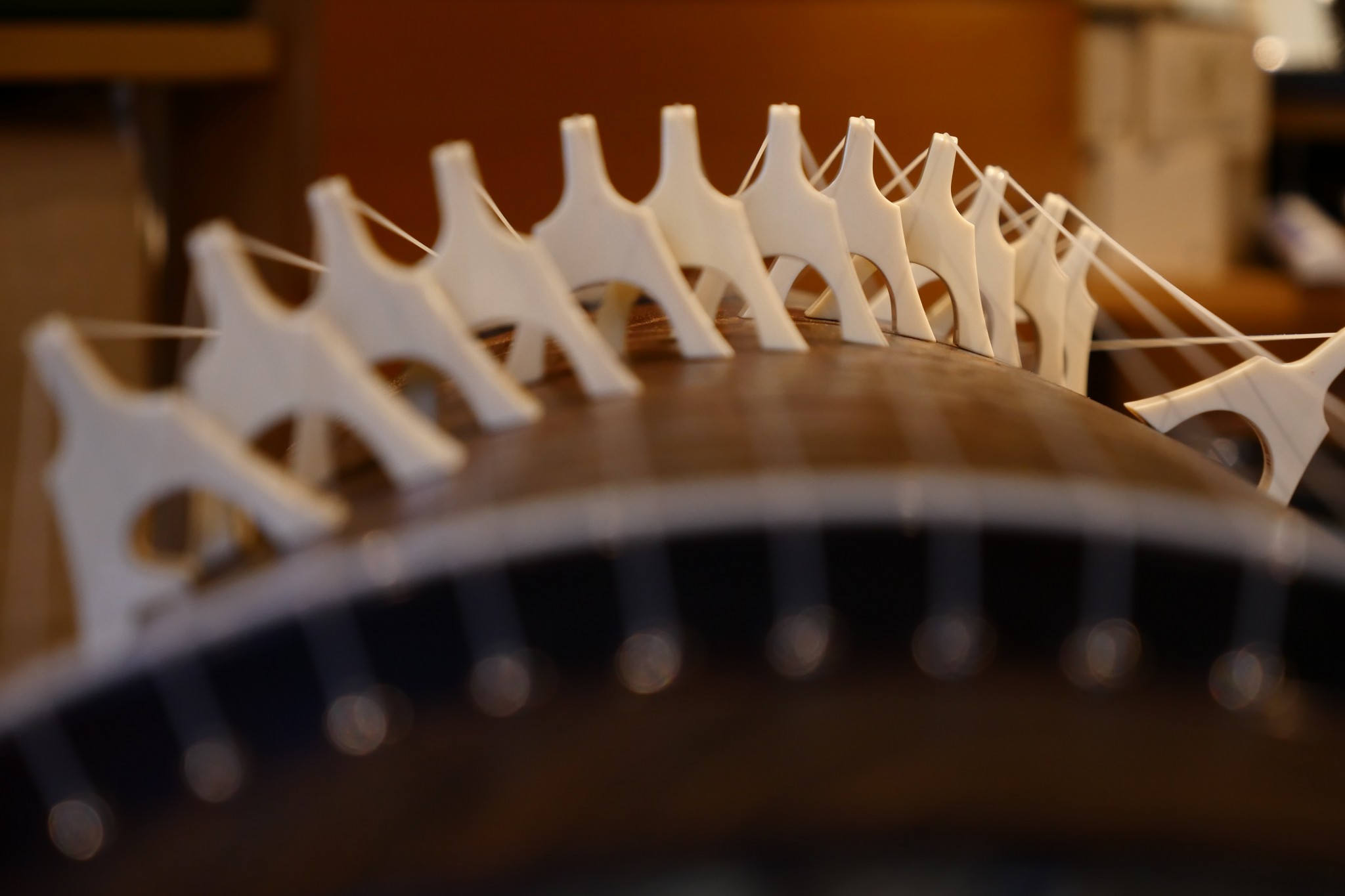 Nakaso Hitomi und Ikeda Wakana: „Traditionelle japanische ...