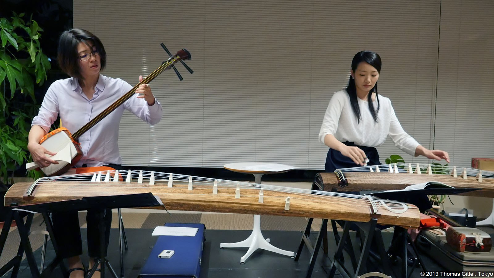 Nakaso Hitomi und Ikeda Wakana: „Traditionelle japanische ...