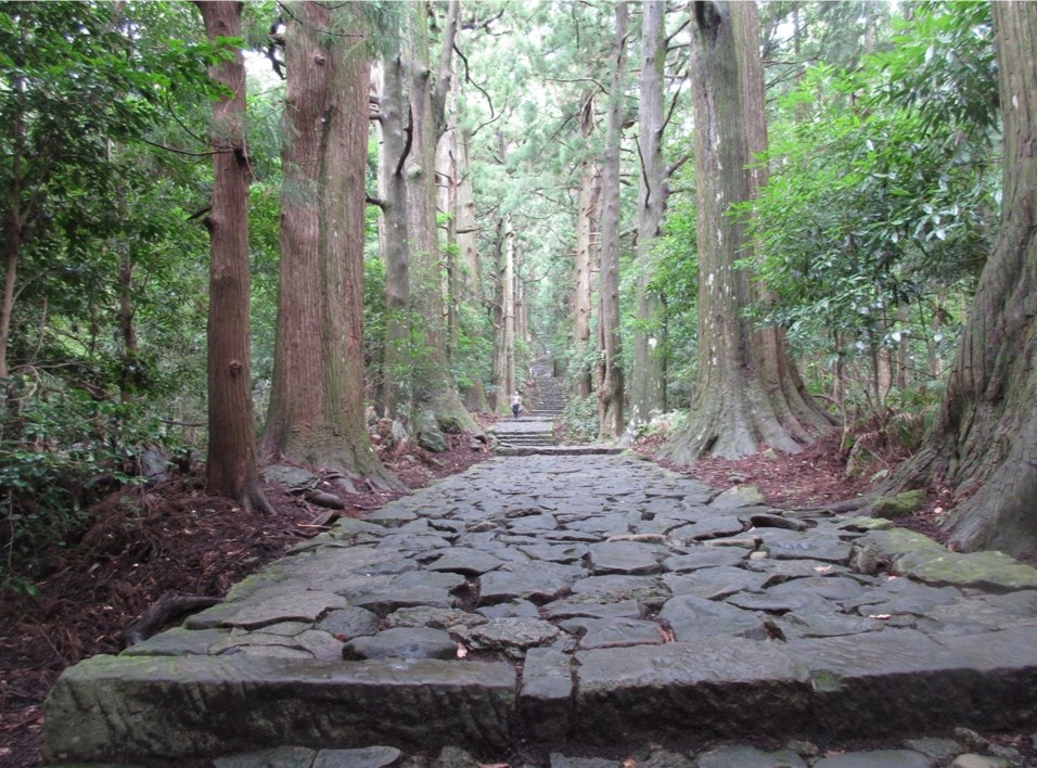Dr. Lorenz Poggendorf: „Spiritueller Tourismus – Modeerscheinung oder ...